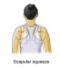 Neck Strain Rehabilitation Exercises | Advanced Sports & Spine