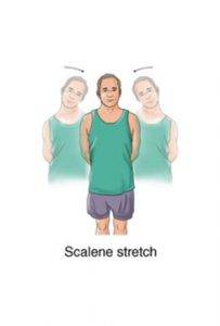 Neck Spasm Rehabilitation Exercises | Advanced Sports & Spine